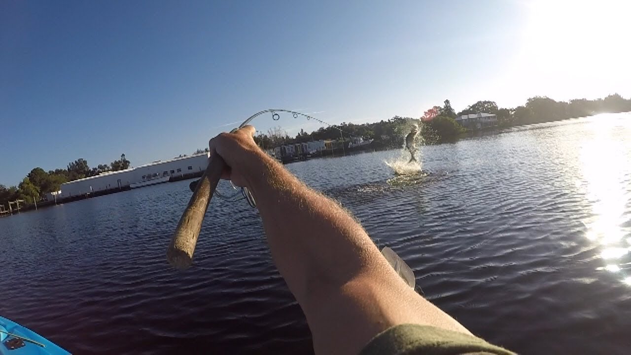 Fish and Line Routine - YouTube