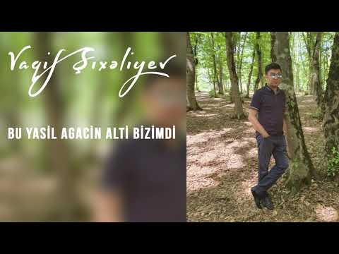 Vaqif Shixaliyev - Bu yasil agacin alti bizimdi