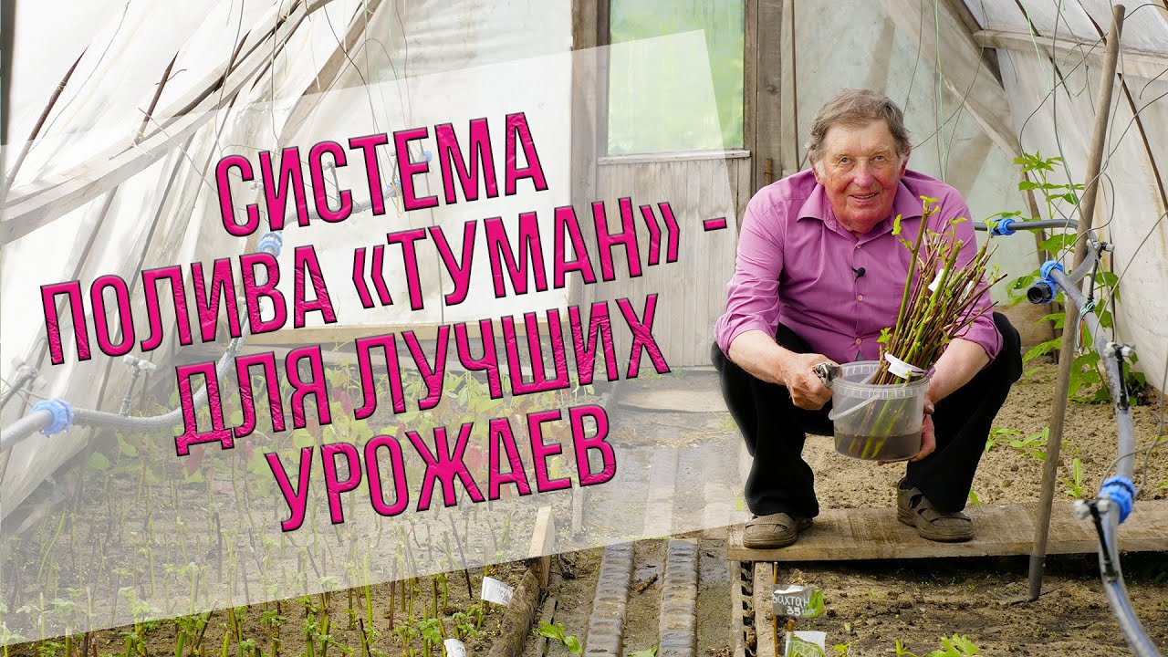 Система полива "Туман" - для лучших урожаев. Рекомендации эксперта ...
