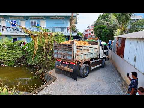 Watchful Start New Full Project Removal Pond !! Dump Truck 5Ton Unloaded & Bulldozer Pushes Stone