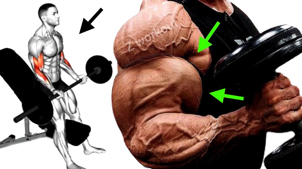Biceps Workout Using Dumbbells and Barbell - free weight bicep workout ...