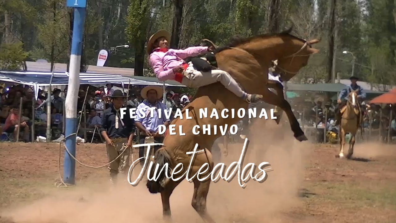 Festival Nacional del Chivo 2023 - Jineteadas - YouTube