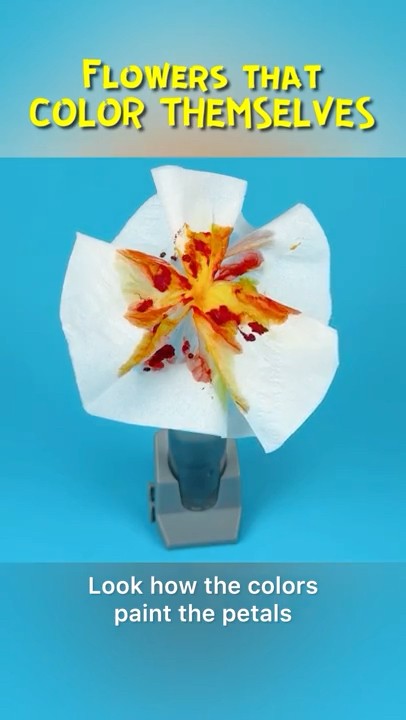 WOW! Paper Flowers that COLOR THEMSELVES | Easy Science Experiment # ...