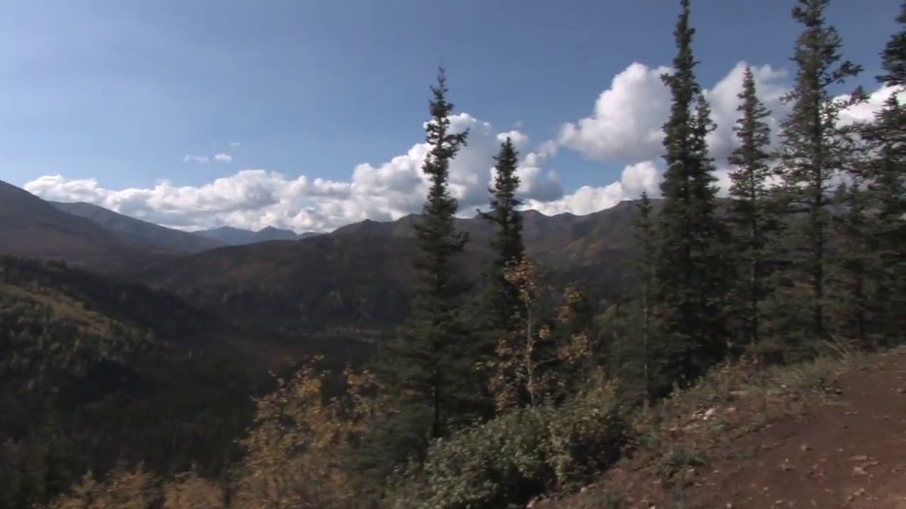 Triple Lakes Trail | Denali National Park, Alaska - YouTube
