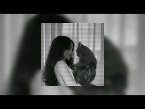 aashiq surrender | sped up