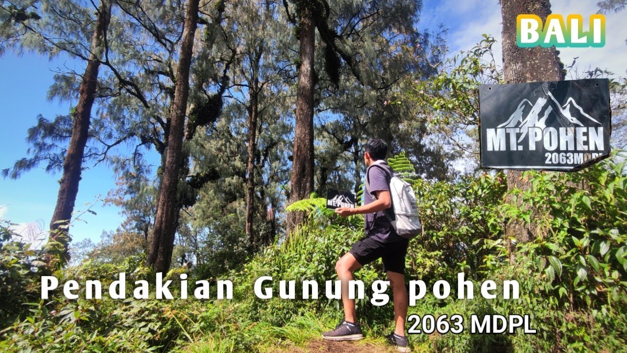 Pendakian Gunung pohen bedugul Bali‼️gunung dengan keindahan hutan yg ...