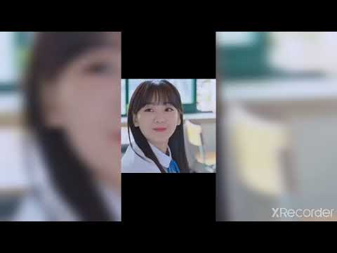 Hay şansımı sevim