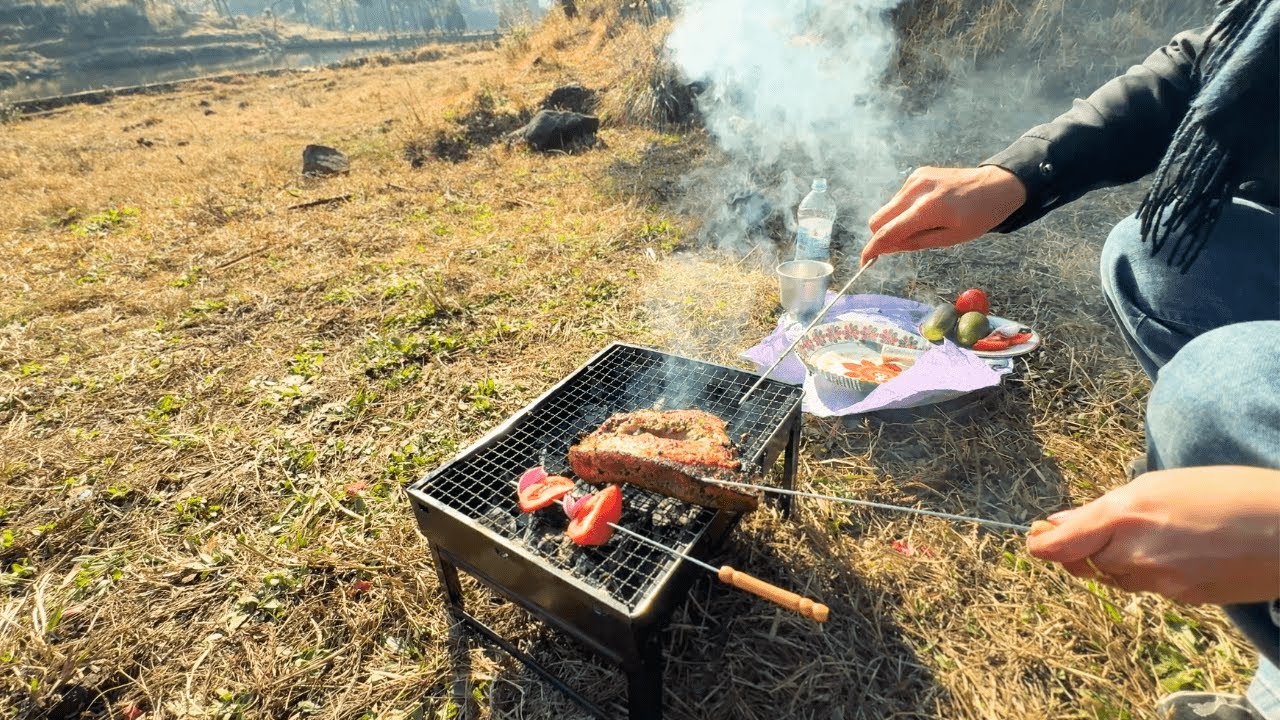 Outdoor Pork Barbeque Picnic in Open Nature | Portable Barbeque Set ...