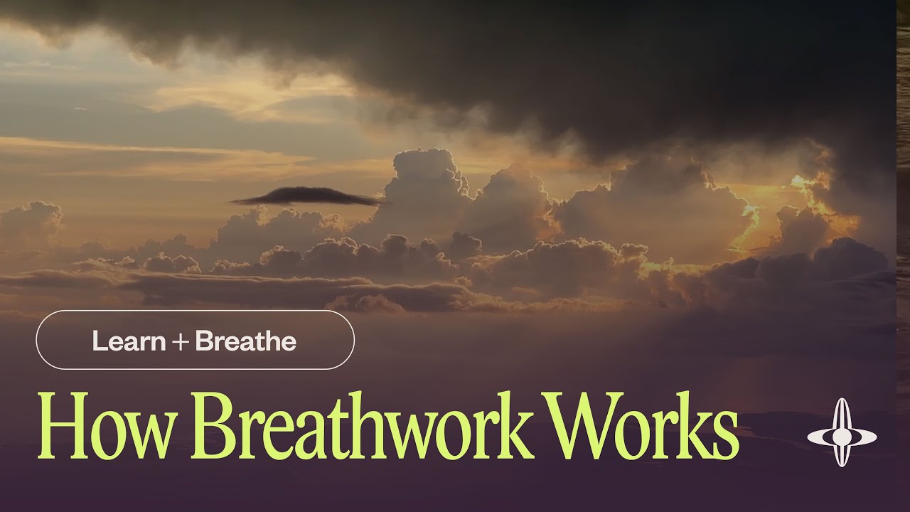 How Breathwork Works | Guided Breathwork (15 minutes) - YouTube