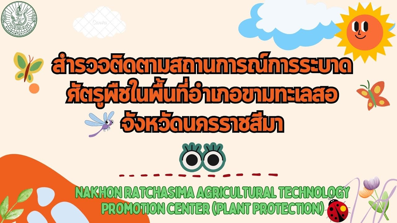 สำรวจติดตามสถานการณ์การระบาดศัตรูพืชในพื้นที่อำเภอขามทะเลสอ จังหวัด ...