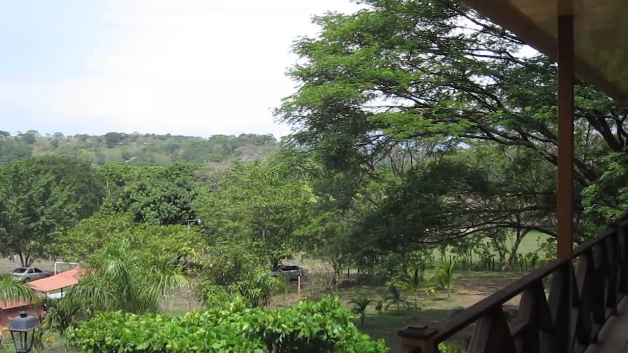 Casa Carter - YouTube