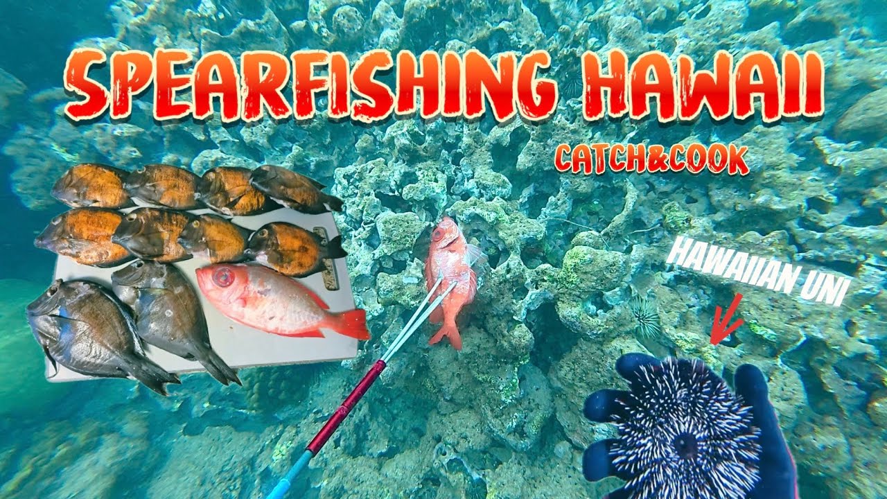 Hunting the Shallows for a Hawaiian Fish Fry - YouTube