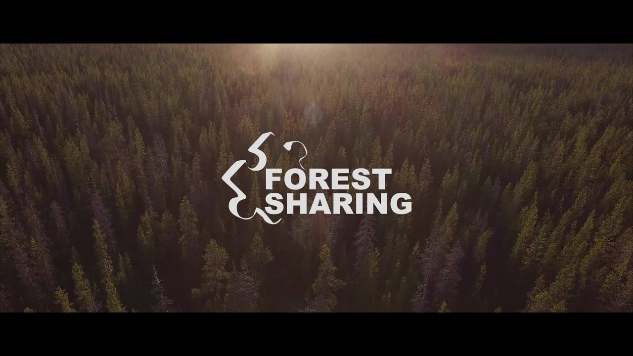 Forest Sharing Presentazione - YouTube