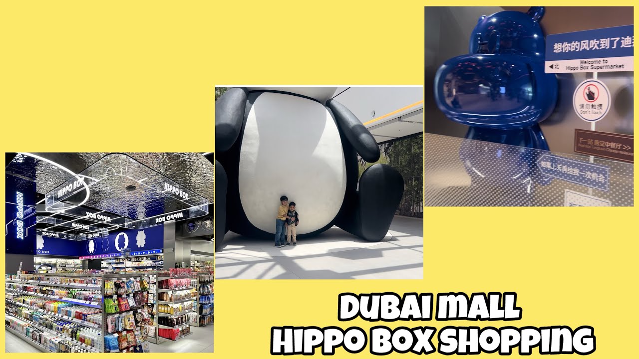 Dubai mall#art #hippo #hippo box supermarket#first Asian supermarket# ...