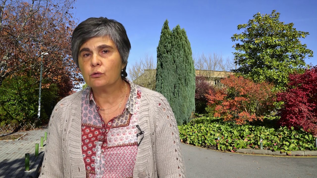 Manifesto on Critical Thinking Education - Isabel Alves, UTAD, Portugal ...