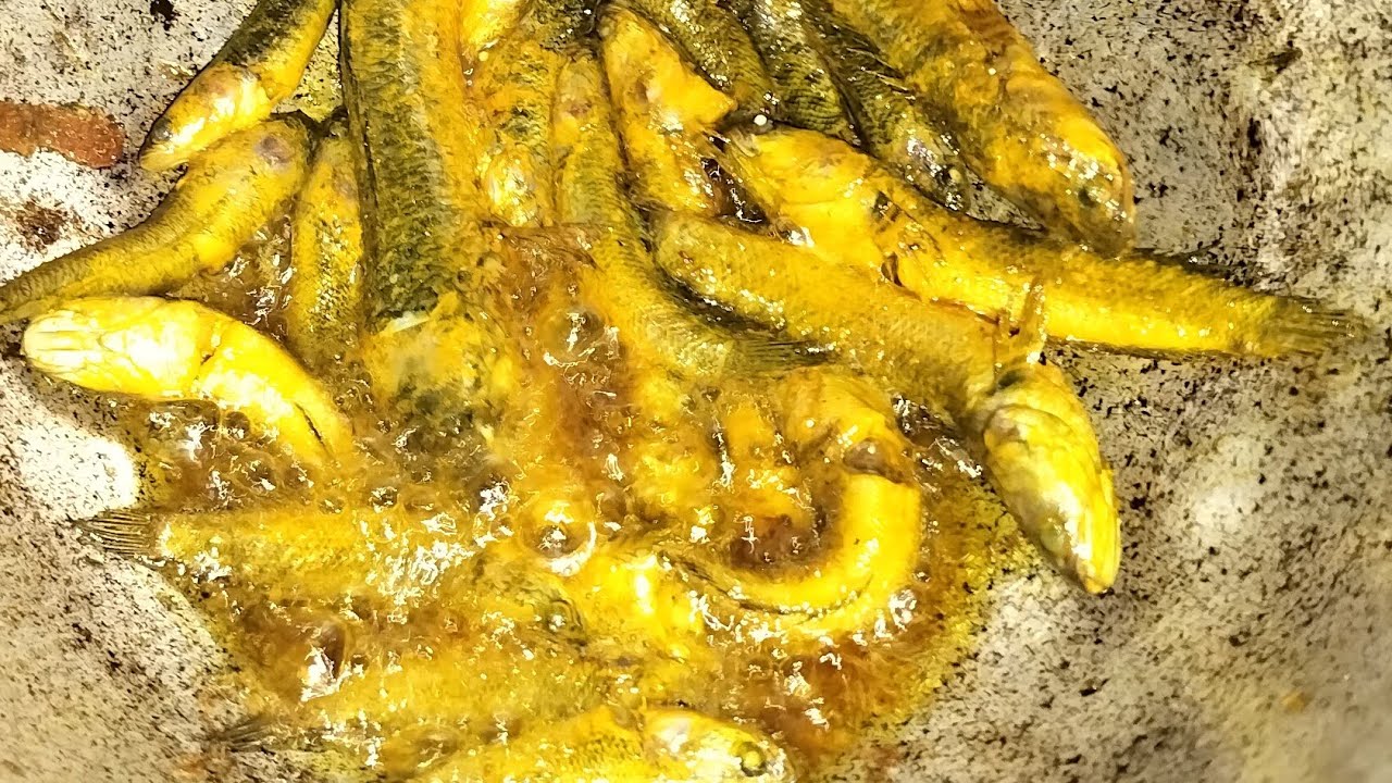 My first Live with garai fish fry - YouTube