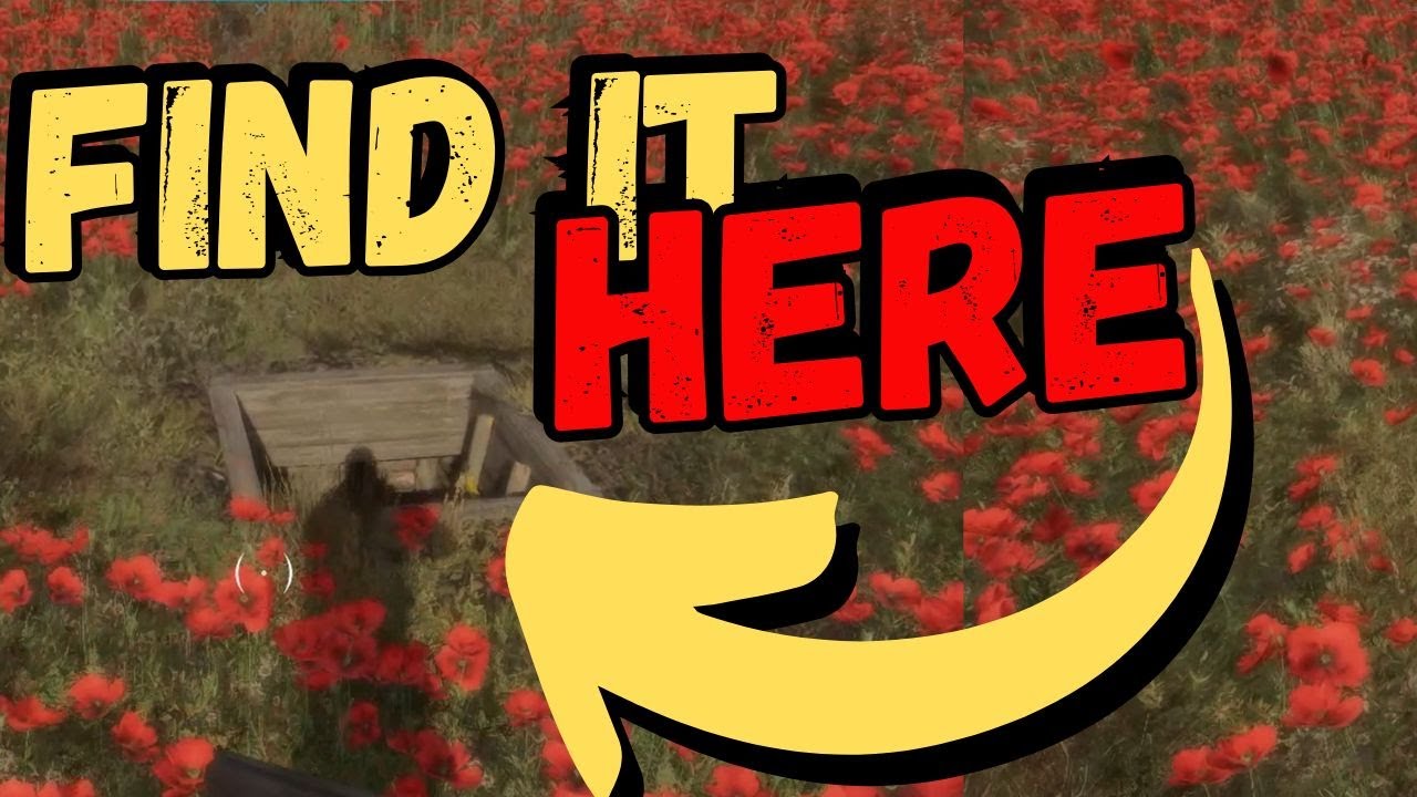 Stalker 2: Poppy Field Cellar Location - YouTube