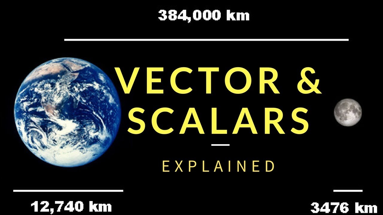 Scalars and vectors One dimensional motion Explained - YouTube