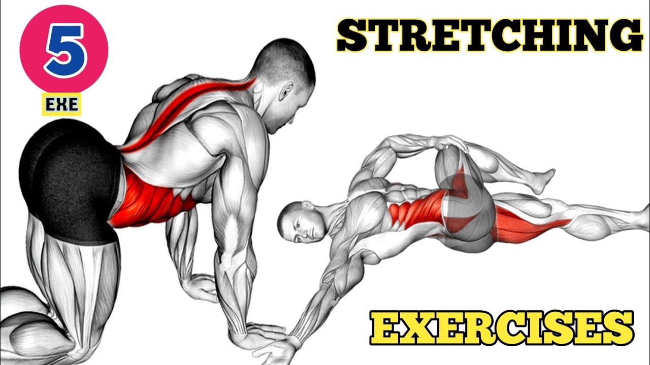 Try These Stretching Workout At Home | Stretching exercises - YouTube