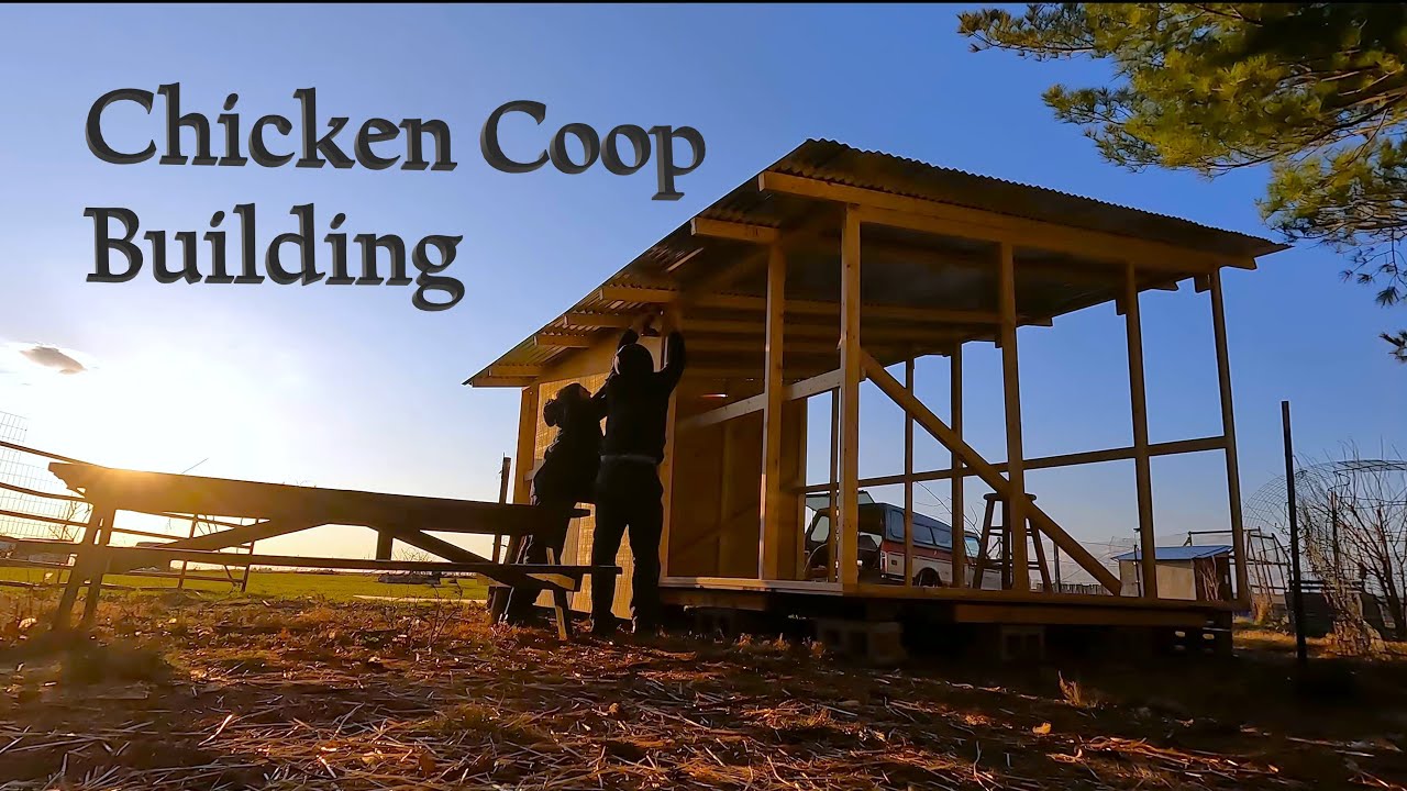 Chicken Coop Build (Fun Time Lapse) 🐔 - YouTube