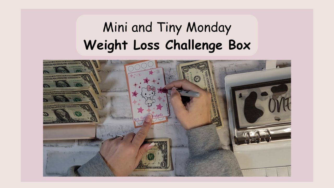 Mini and Tiny Monday | Cash Stuffing | Weight Loss Box #money # ...