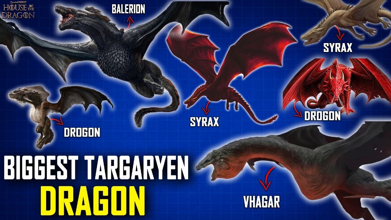 The 10 Biggest Dragons from House of The Dragon [ HINDI ] - YouTube