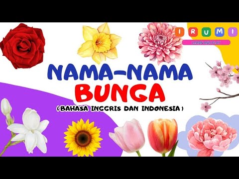 Mengenal Nama-Nama Bunga Dalam Bahasa Inggris Dan Indonesia - YouTube
