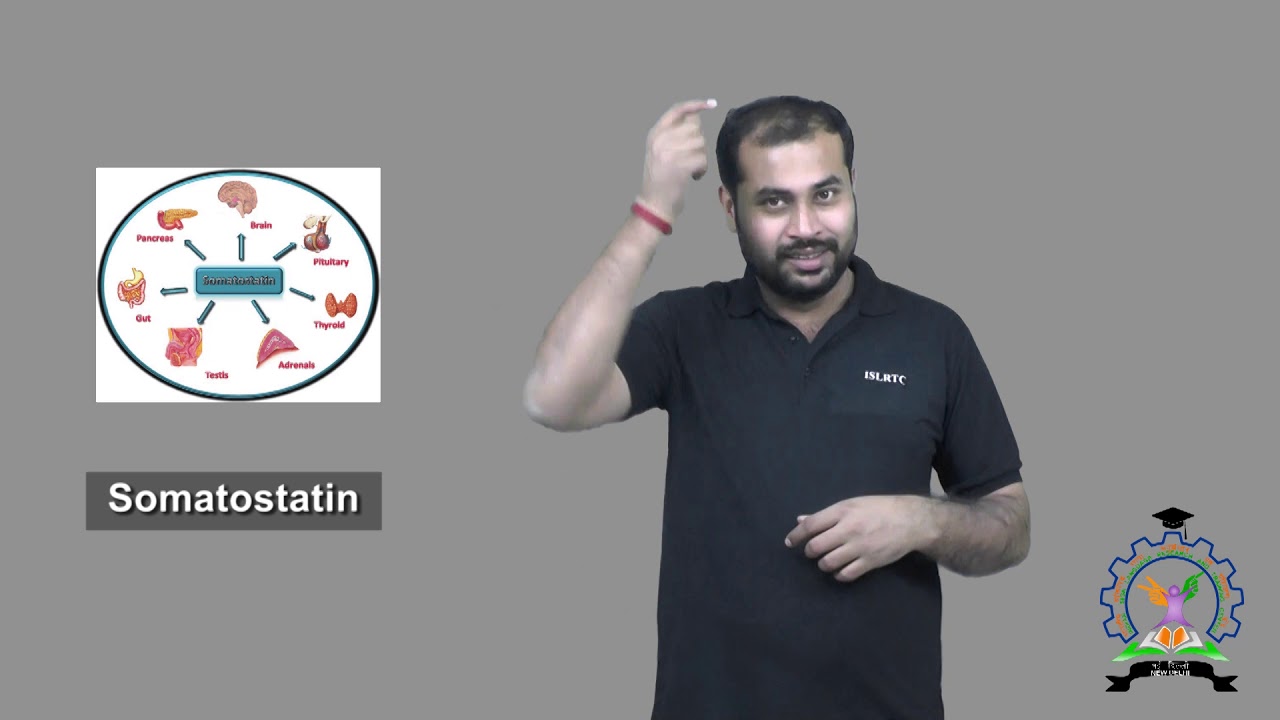 somatostatin-youtube
