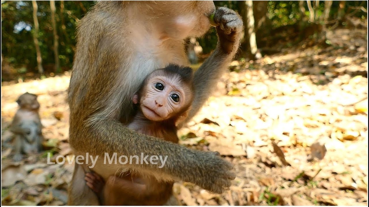 More Activity Baby Mika. How Cute Little One. - YouTube