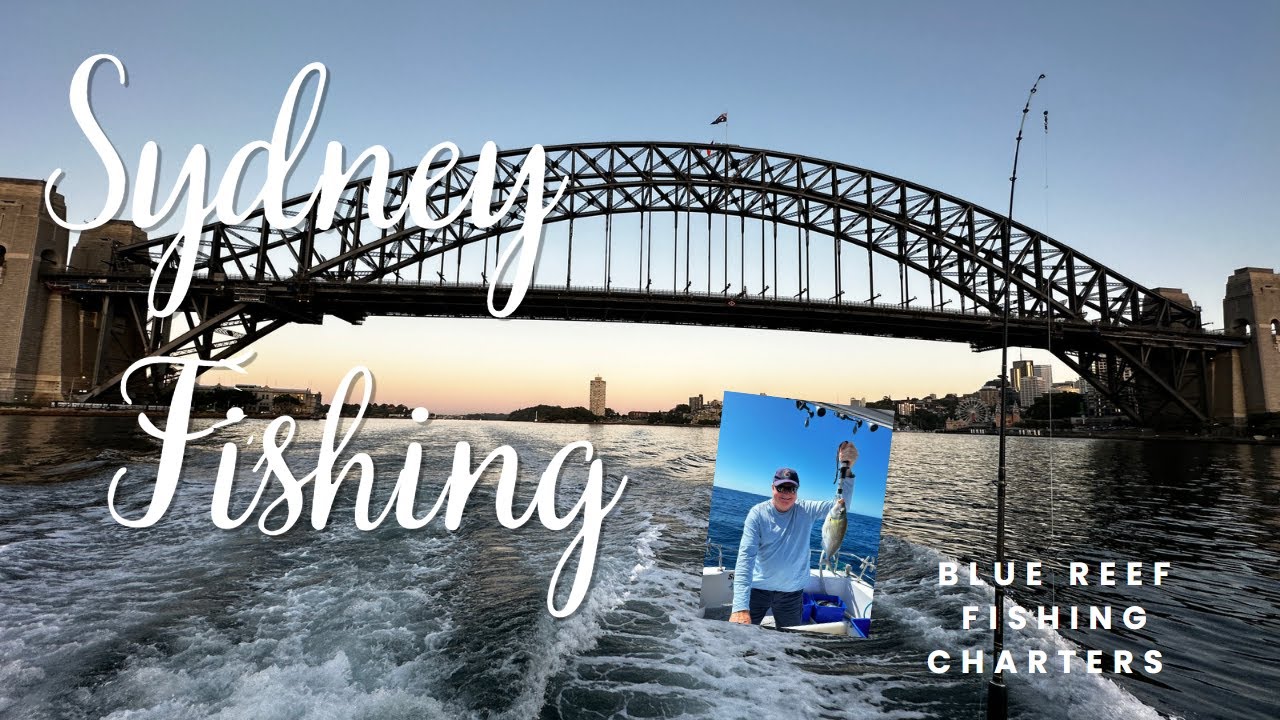 Sydney Fishing Charters with Blue Reef - YouTube