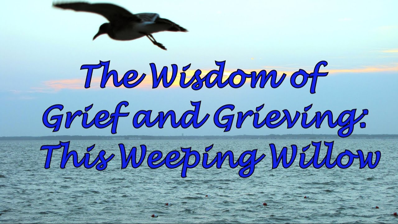 The Wisdom of Grief and Grieving: This Weeping Willow - YouTube