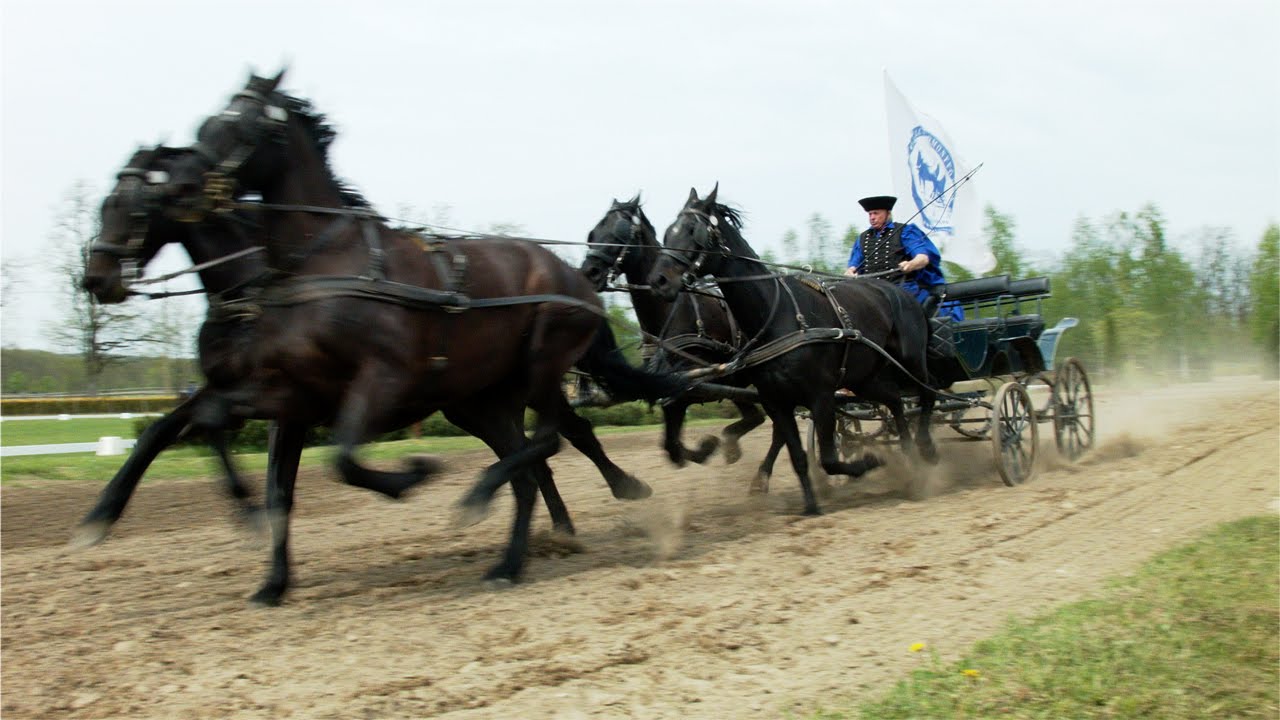 Ungarn - Schloss Gödöllö und Reitpark Lázár - YouTube