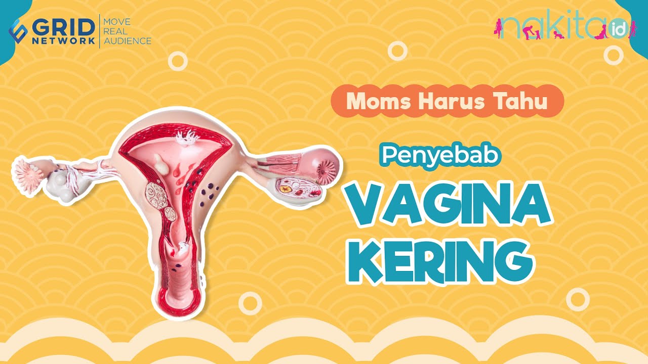 Waspadai Yuk Penyebab Moms Alami Vagina Kering Youtube
