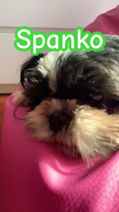 Typowe spanko - YouTube