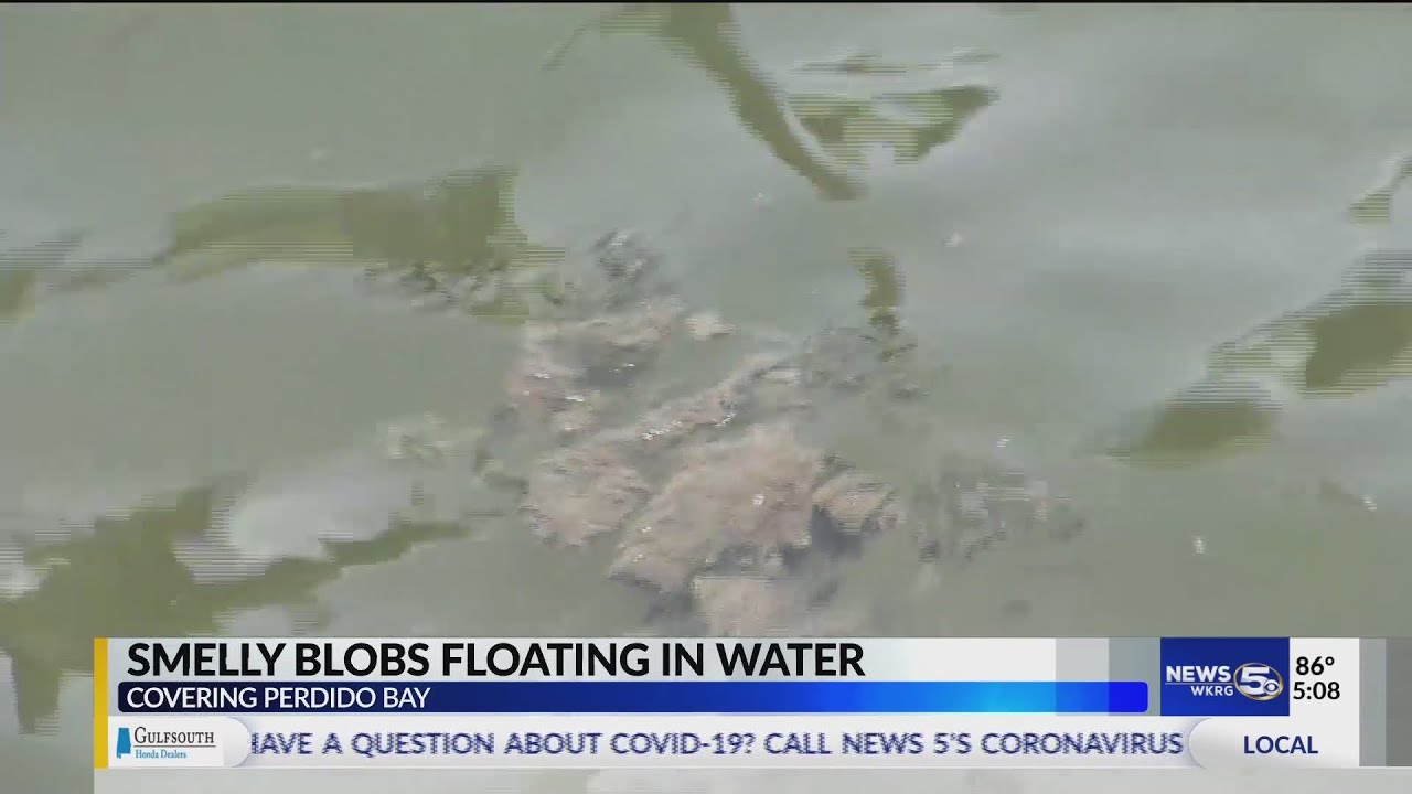 Smelly blobs floating in the water - YouTube