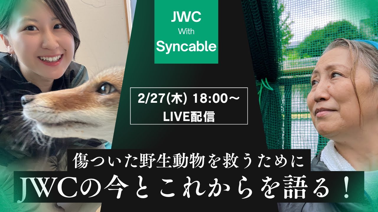 【生配信】傷ついた野生動物を救うために。JWCの今とこれからを語る！[with Syncable] - YouTube