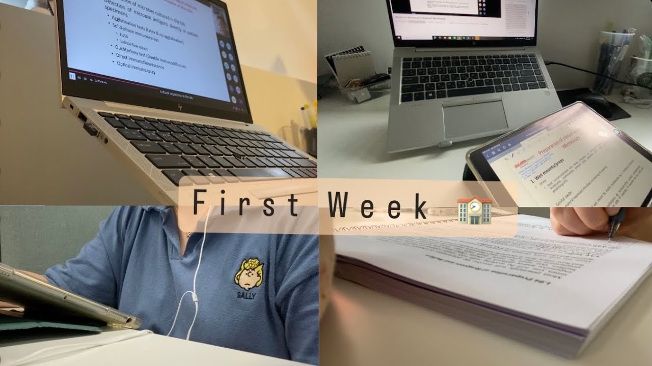 [ENG] 🇦🇺🦘개강 후 첫째 주 ㅣ First week in university - YouTube