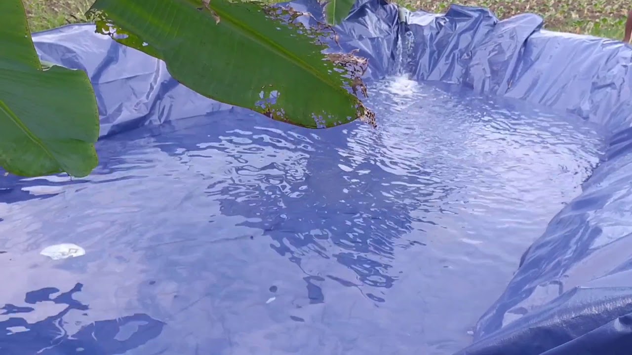 Trik menarik menyiapkan terpal air - YouTube