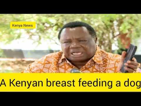 ATWOLI REACTS TO A VIDEO OF A KENYAN GIRL BREASTFEEDING A DOG IN SAUDIA ARABIA/GULF - YouTube