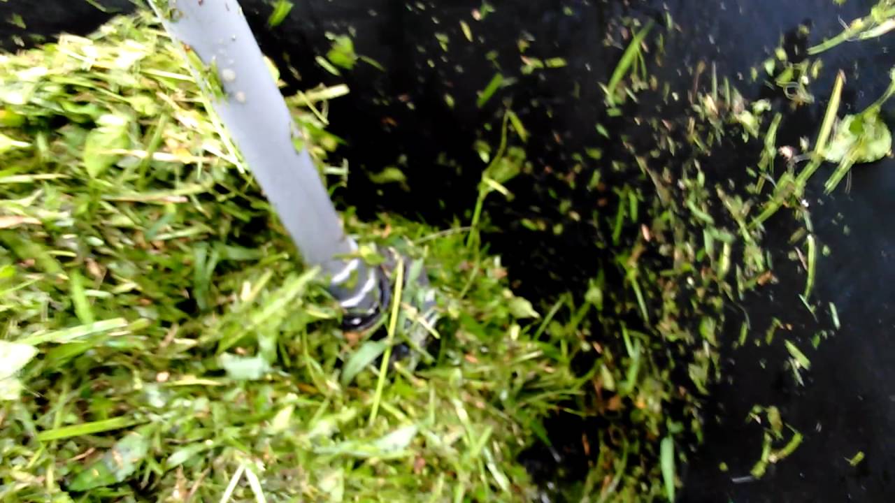 Our first feeding of grass to HomeBiogas. - YouTube