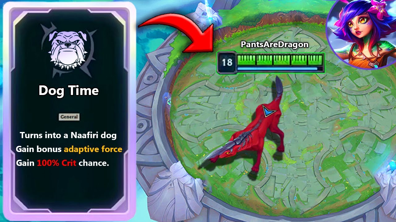 NEW TECHNIQUE DOG TIME - Become a Naafiri Dog with 100% Crit 500 AD and ...