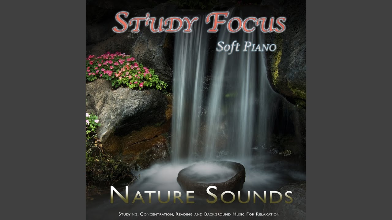 Studying Zen Music and Study Aid - YouTube Music