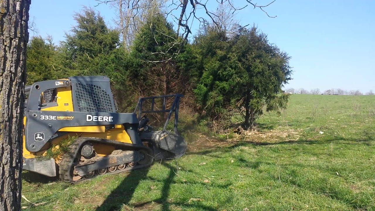 Mulching cedar trees to open pastures - YouTube