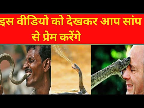 snake attack cctv record video||Scary and Strange Snake Encounters ...