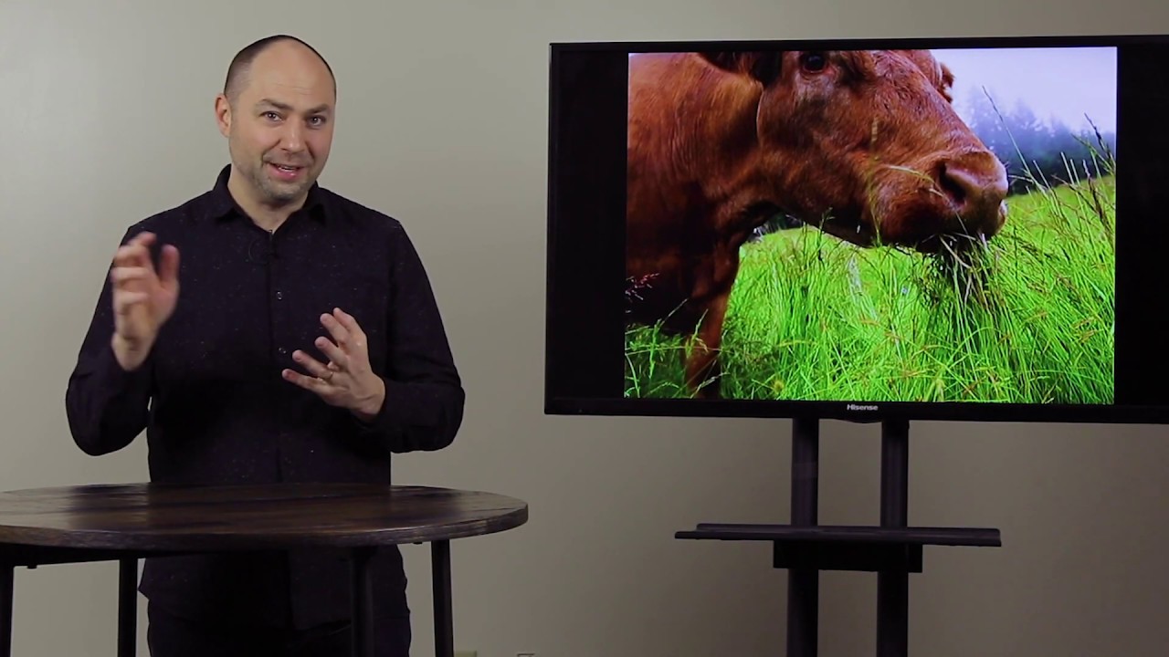 Bible Reading Rhythms Part 1 | Dr. Dave Ward - YouTube