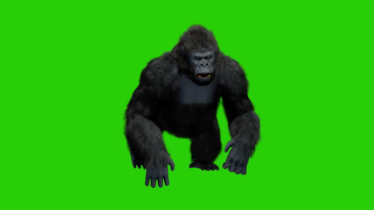 King kong Green Screen - YouTube