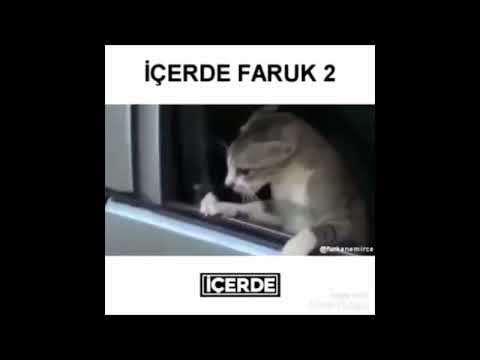 İçerde Faruk Ama Yargı Müziği ile
