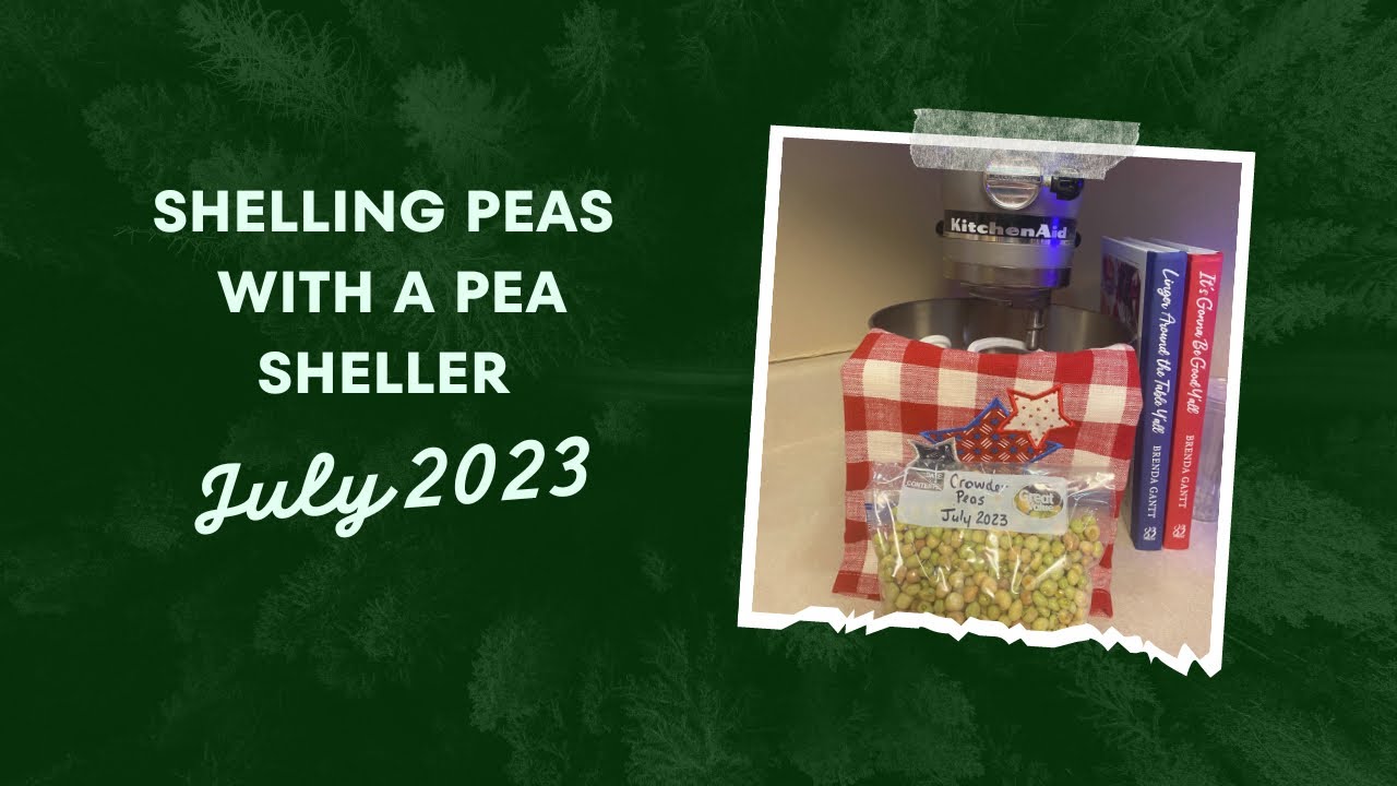 Shelling Peas|Peas Sheller - YouTube