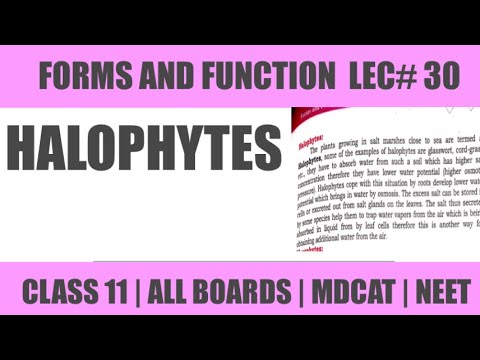 HALOPHYTIC PLANT | SIMPLE EXPLANATION | DETAILED| MASTER BIOLOGY ...