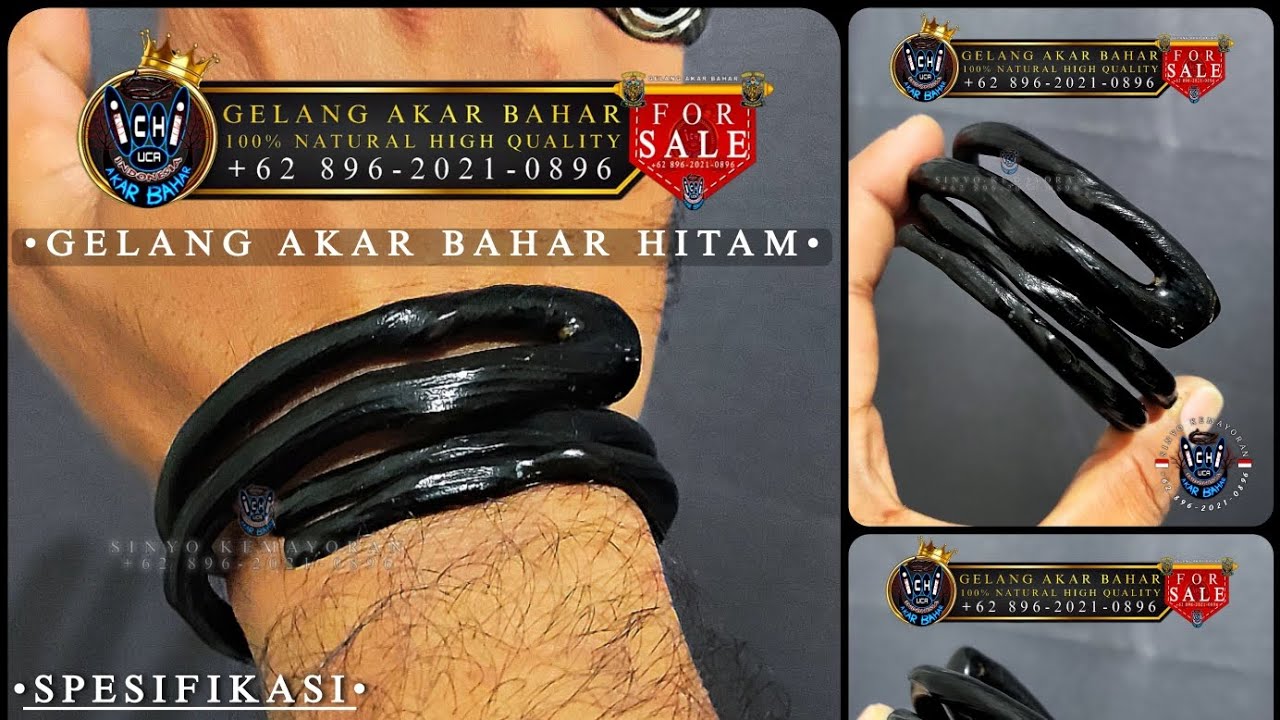 gelang akar bahar 2 cabang unik natural berkualitad - YouTube